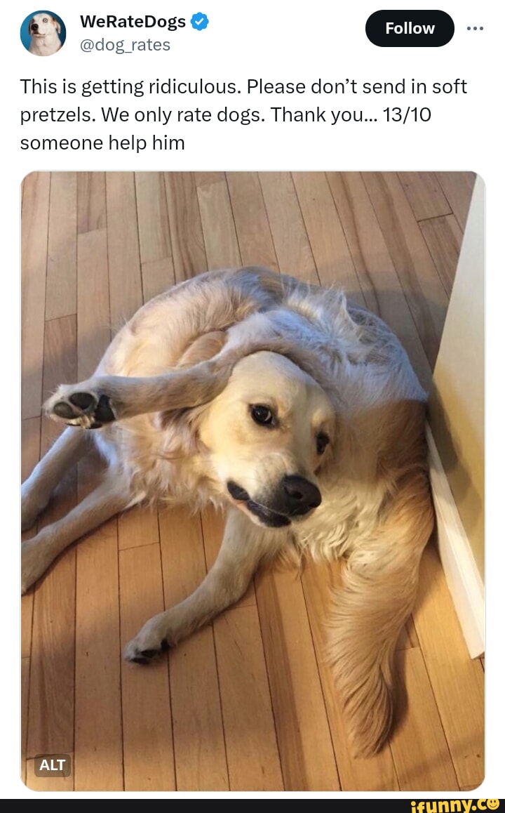 Video memes SakjEMC0B by AlgizDaemon - iFunny