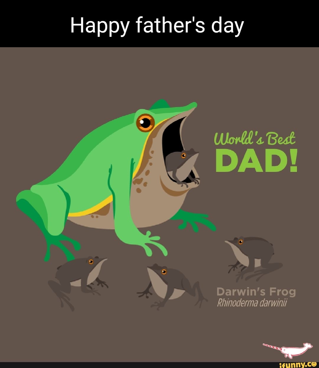 Happy father's day Darwin's Frog Rhinoderma darwinif - iFunny