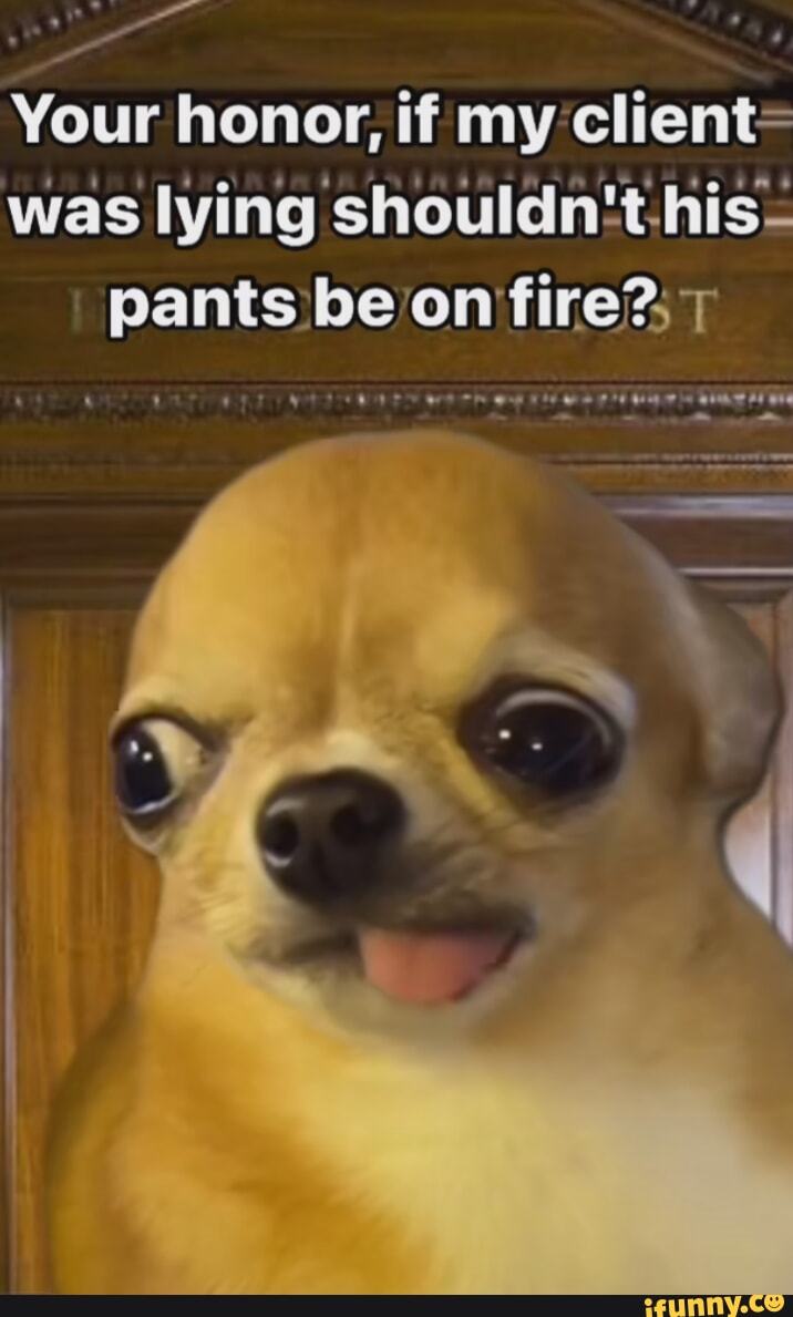 Lying memes. Best Collection of funny Lying pictures on iFunny