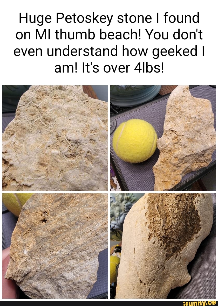 Petoskey memes. Best Collection of funny Petoskey pictures on iFunny