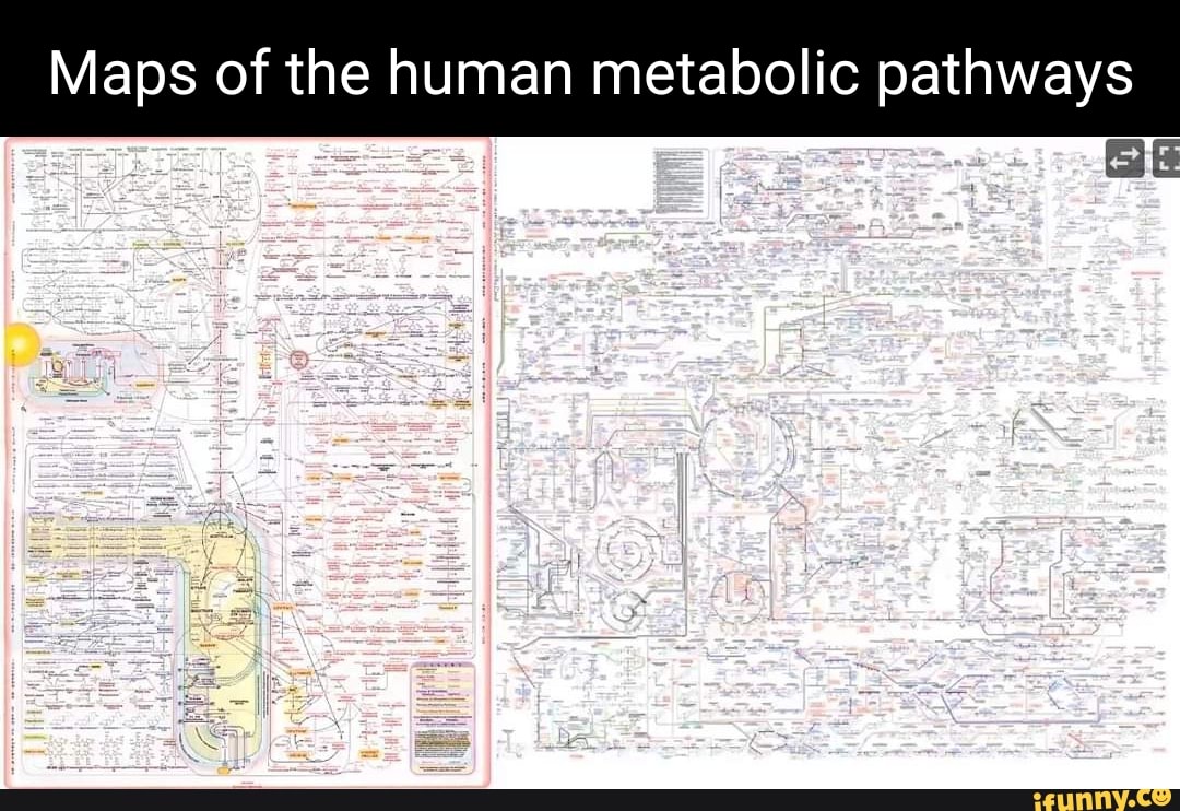 Metabolic Map Tumblr