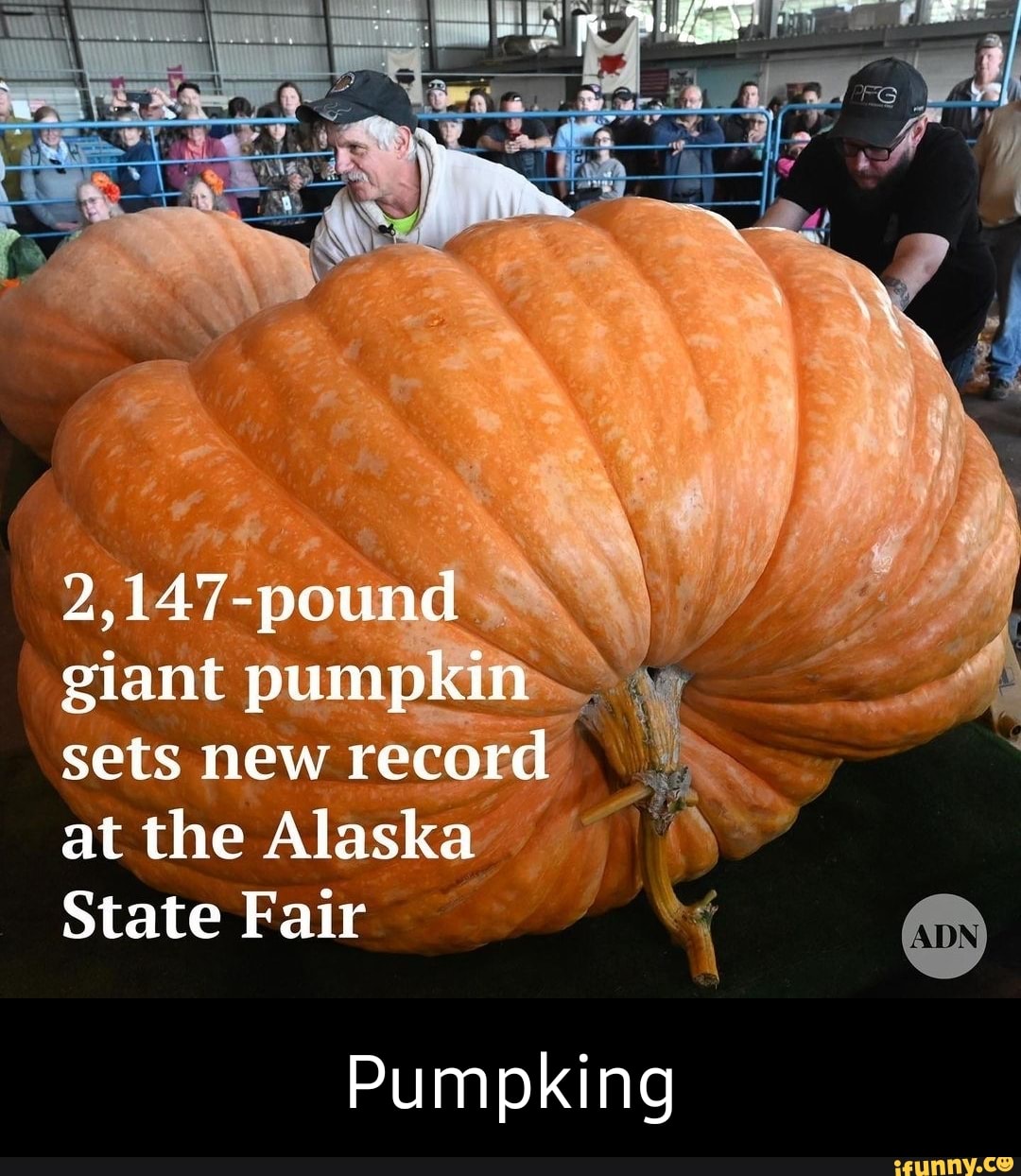 2,147-pound giant pumpkin sets new record at the Alaska State Fair ...