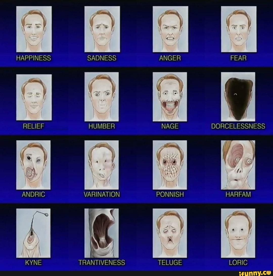 HAPPINESS SADNESS ANGER FEAR HUMBER NAGE DORCELESSNESS PONNISH HARFAM ...