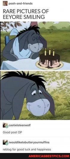 RARE PICTURES OF EEYORE SMILING Good post OP - America’s best pics and ...