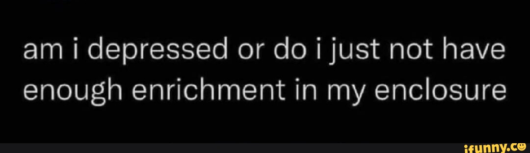 Enrichment memes. Best Collection of funny Enrichment pictures on iFunny