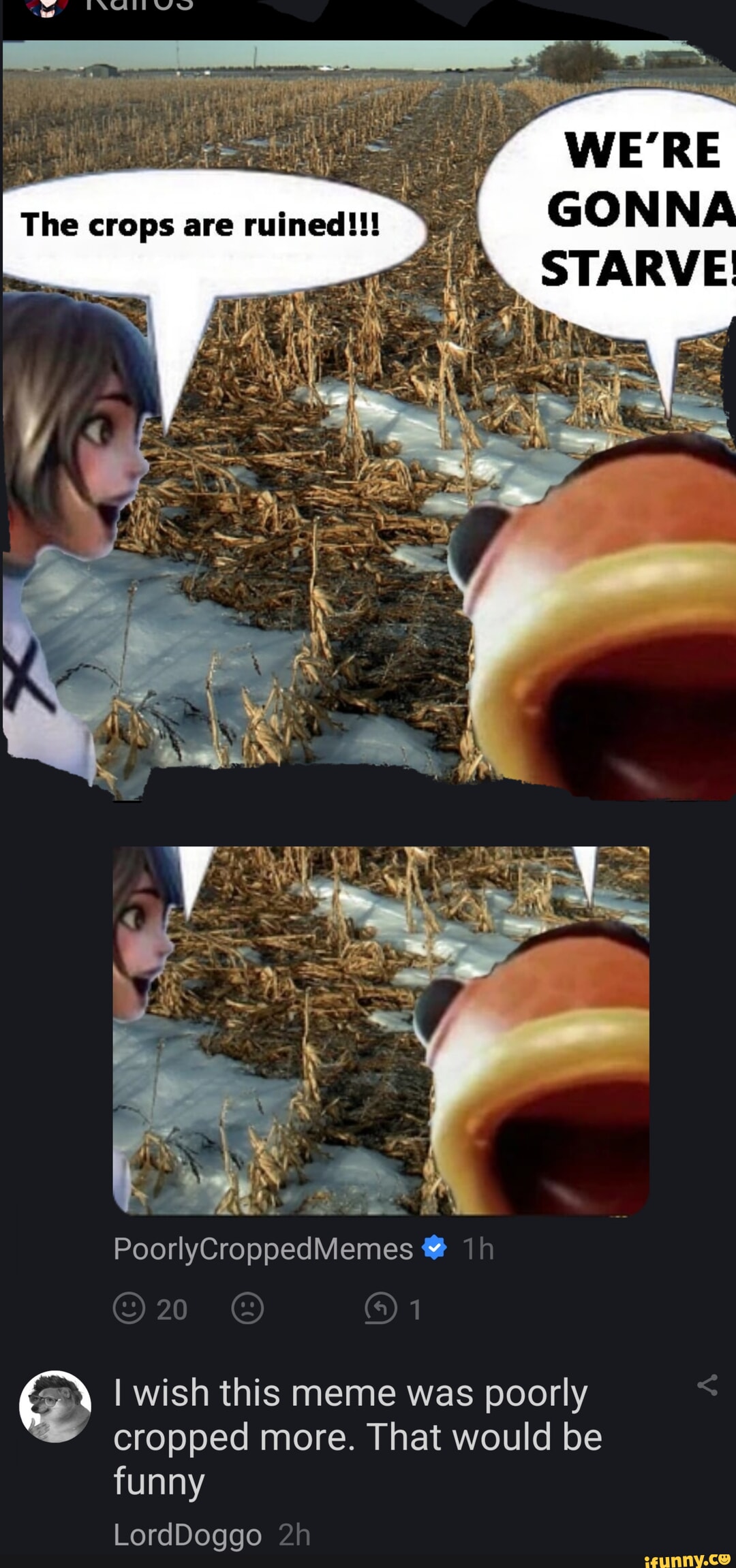 WE'RE GONNA The crops are PoorlyCroppedMemes 20 I wish this meme was ...
