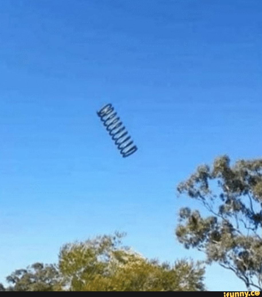 Springisintheair memes. Best Collection of funny Springisintheair ...