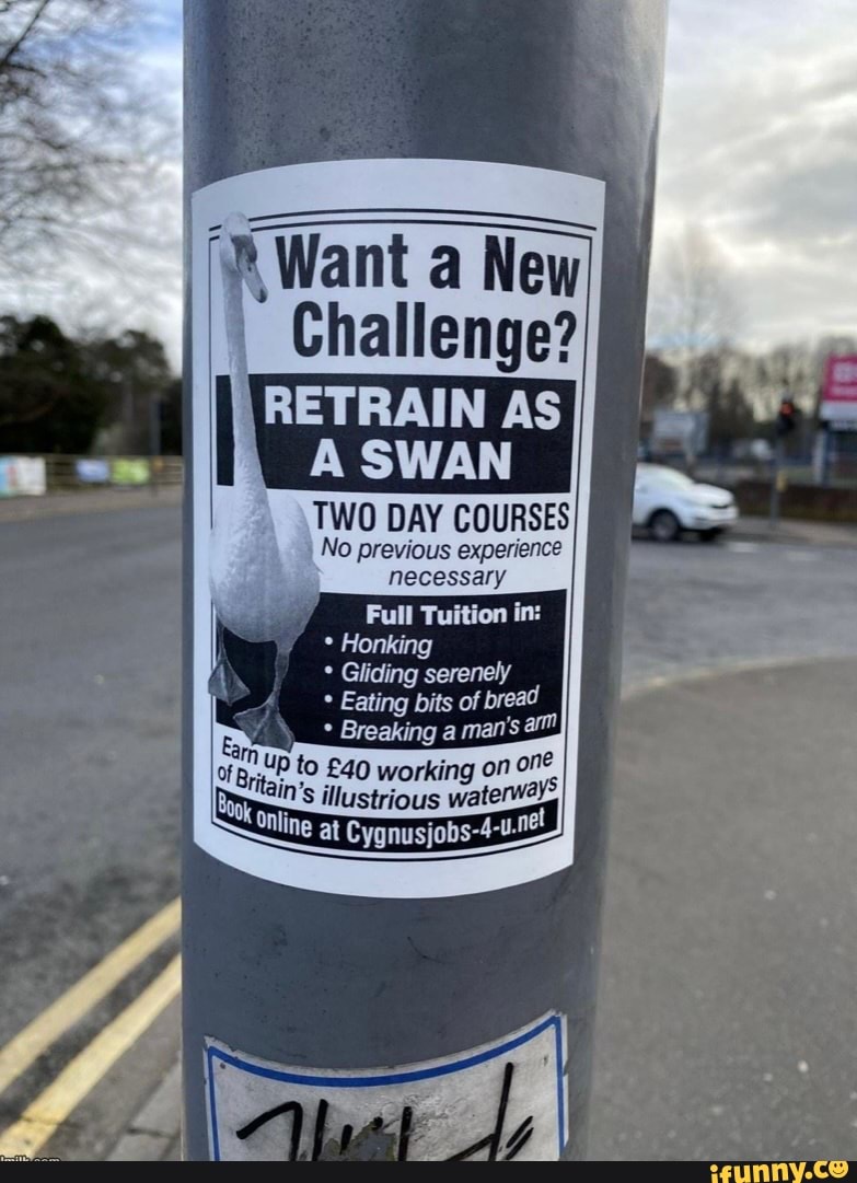 Retrain memes. Best Collection of funny Retrain pictures on iFunny