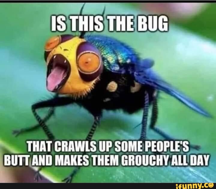 Grouchy memes. Best Collection of funny Grouchy pictures on iFunny