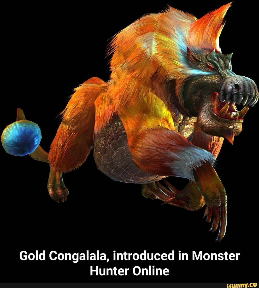 Congalala memes. Best Collection of funny Congalala pictures on iFunny