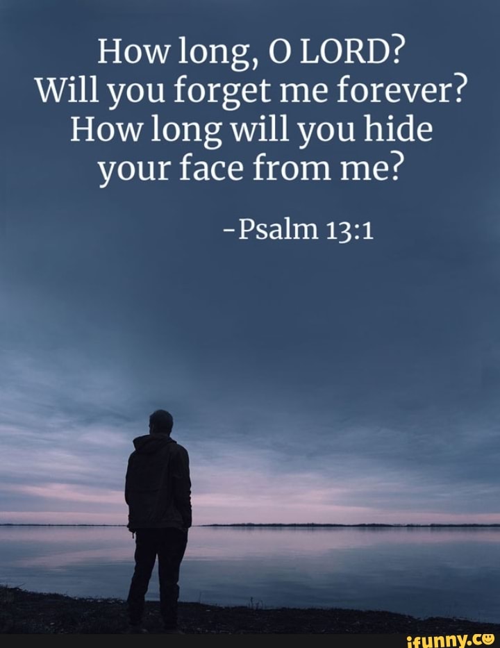How long, O LORD? Will you forget me forever? How long will you hide ...