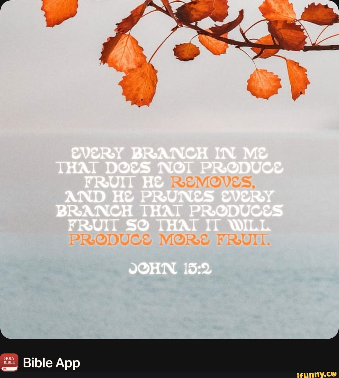 Produce memes. Best Collection of funny Produce pictures on iFunny