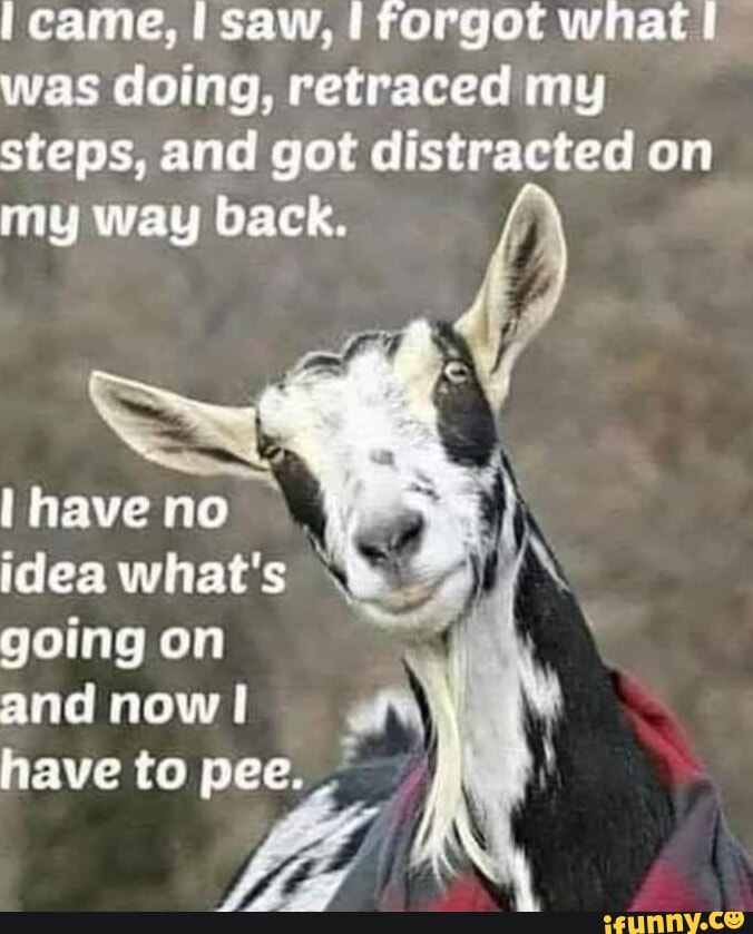 Distracted memes. Best Collection of funny Distracted pictures on iFunny