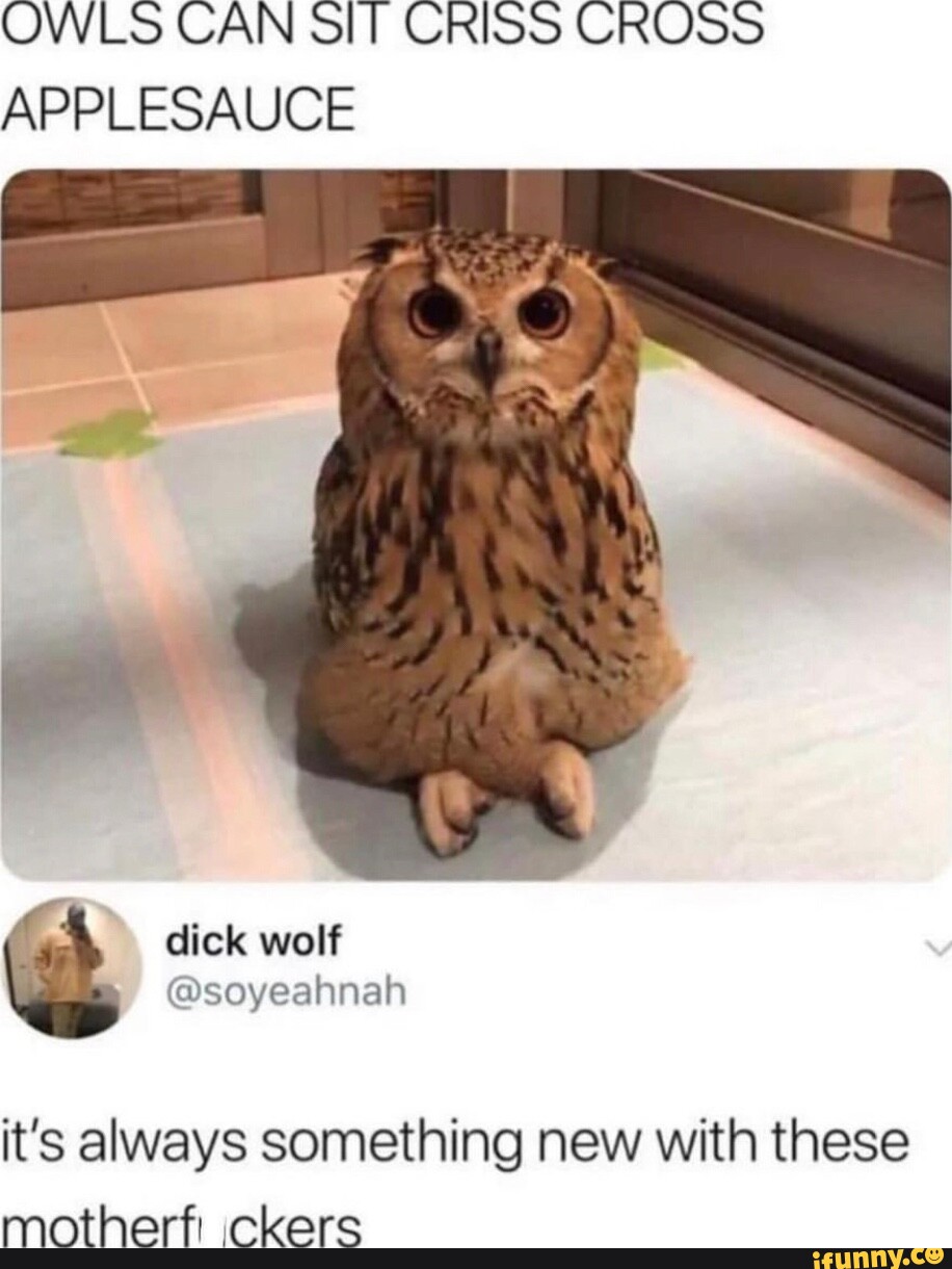 Applesauce memes. Best Collection of funny Applesauce pictures on iFunny