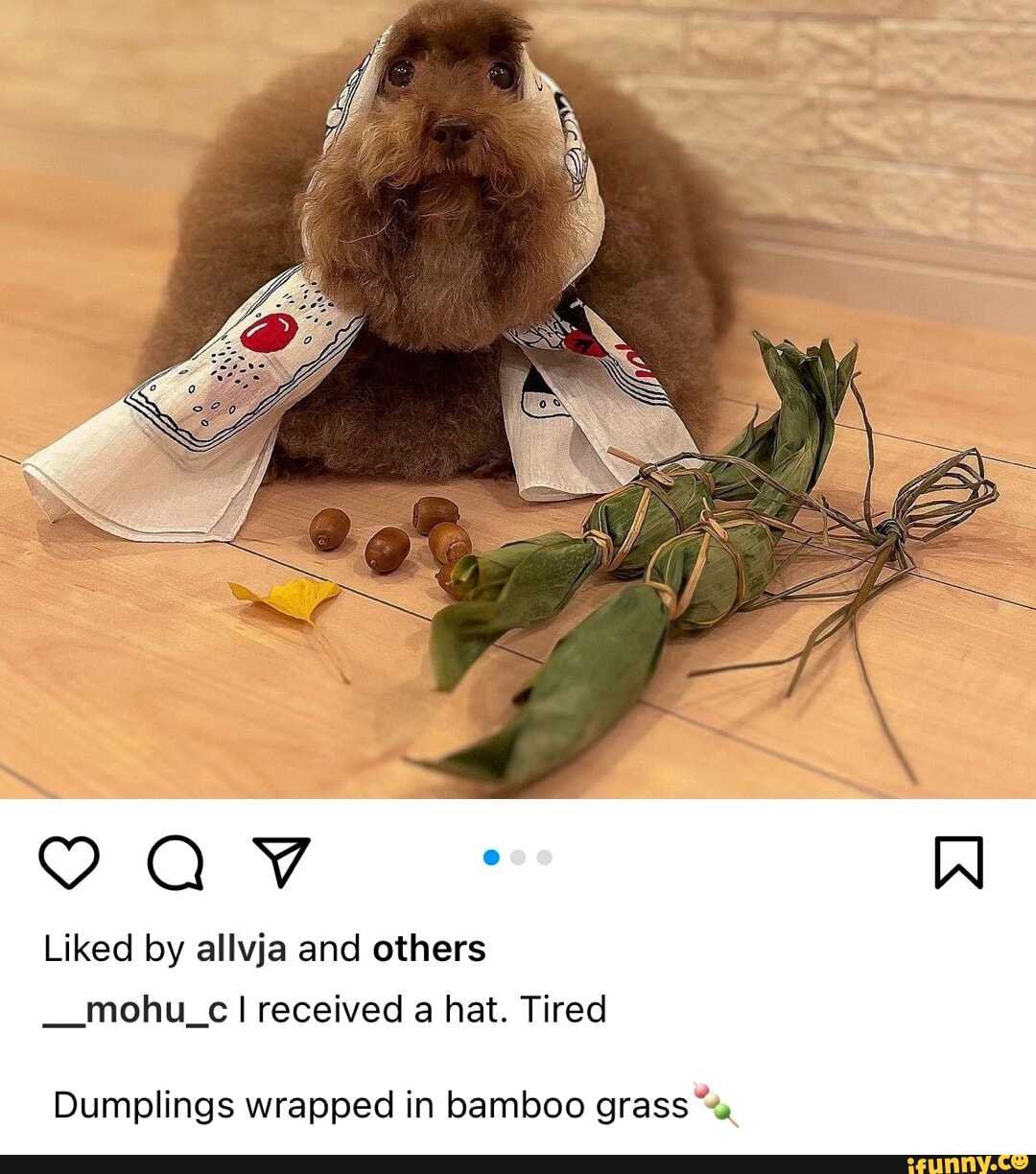 Dumplings memes. Best Collection of funny Dumplings pictures on iFunny