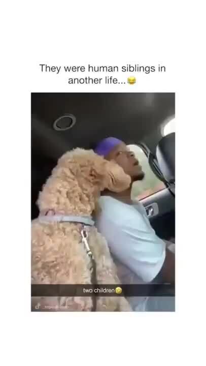 They were human siblings in another life... - America’s best pics and ...