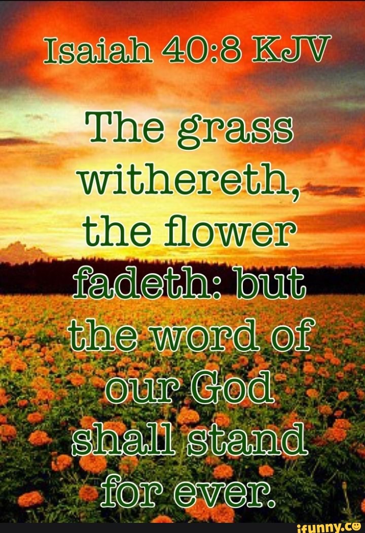 Isaiah KIV Tine Srass witherethh, the flower - iFunny