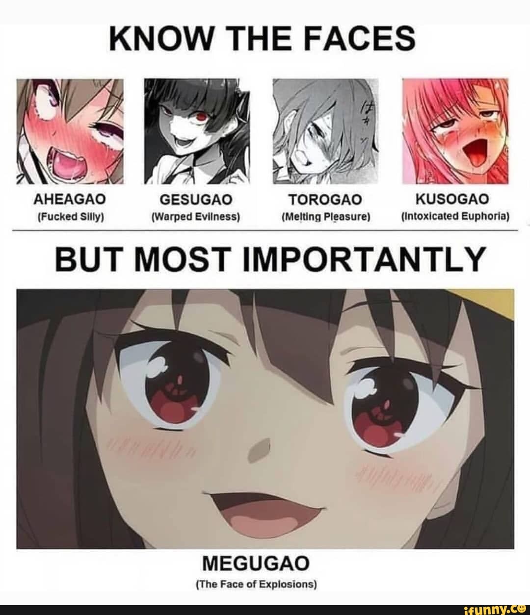 KNOW THE FACES AHEAGAO GESUGAO TOROGAO KUSOGAO (Fucked Silly) (Warped ...