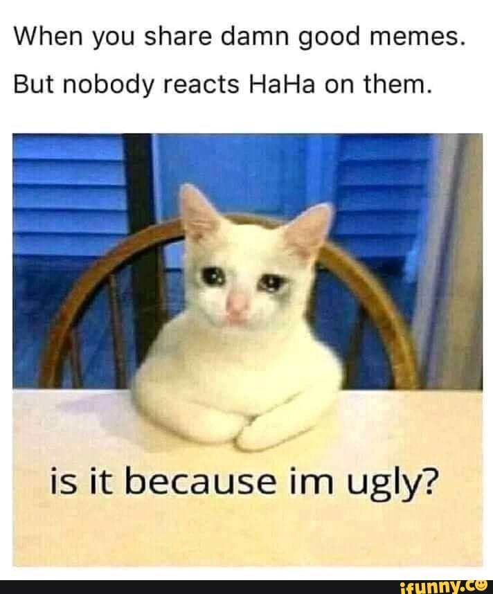 When you share damn good memes. But nobody reacts HaHa on them. is it ...
