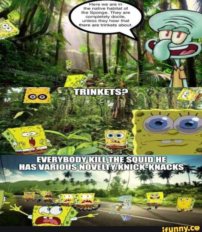 Video memes JXm00Mse6 by SunflowerPrincess_: 1.7K comments - iFunny