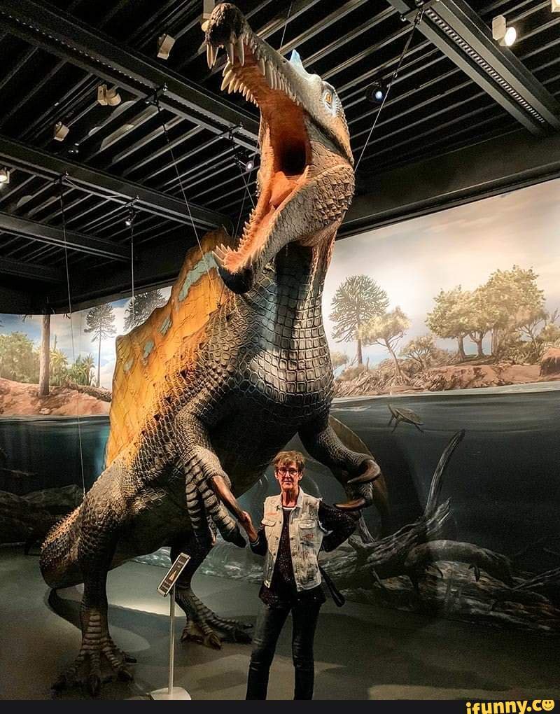 Spinosaurus 2021 Life Size Reconstruction - iFunny