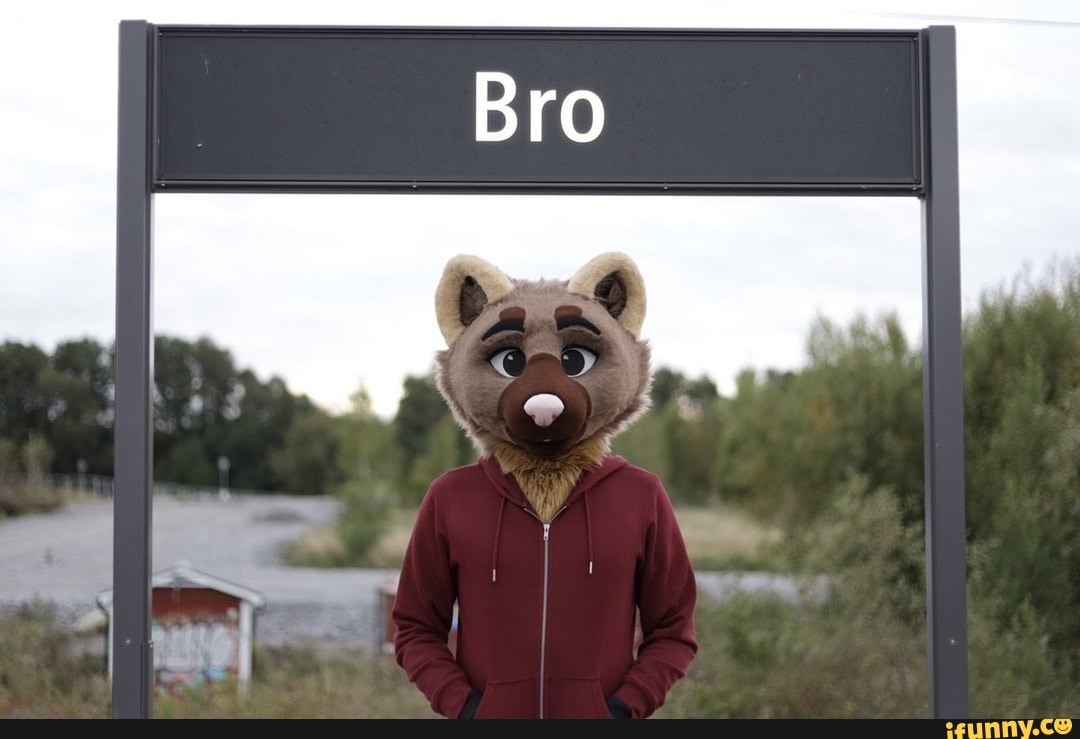Fursuitmemes memes. Best Collection of funny Fursuitmemes pictures on ...