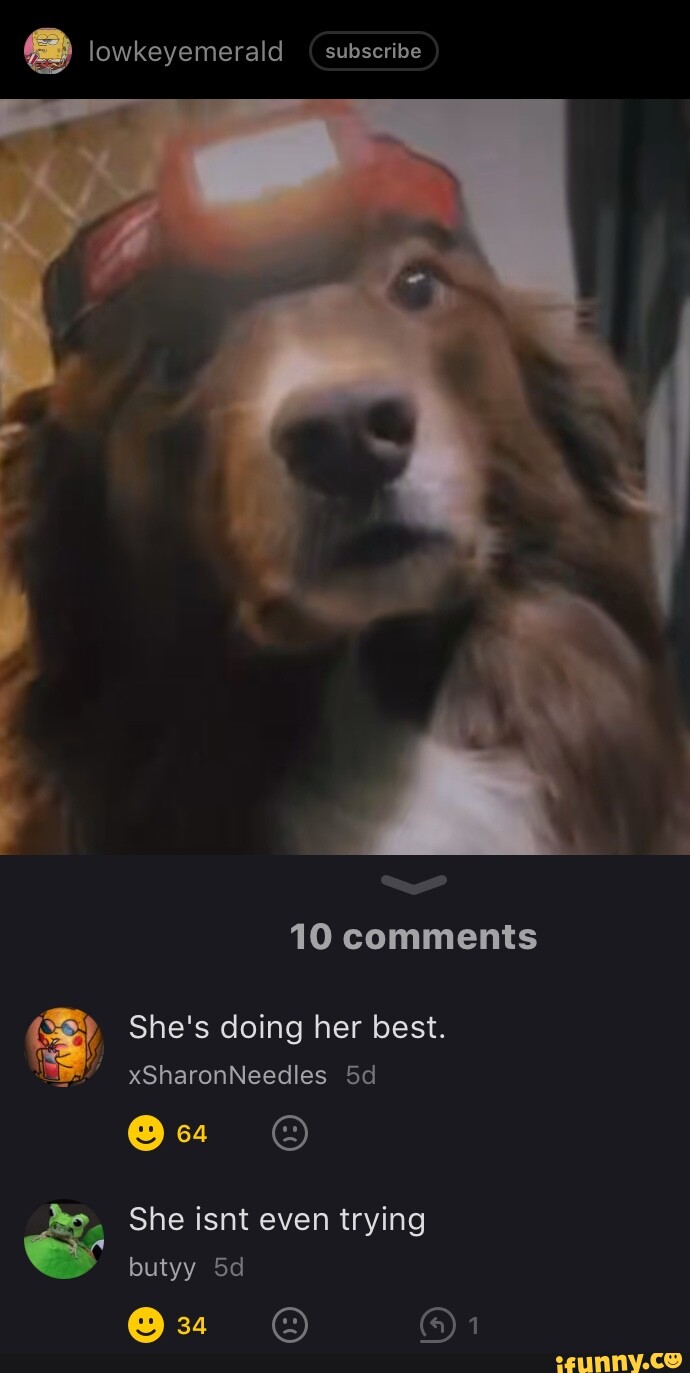 Xsharonneedles memes. Best Collection of funny Xsharonneedles pictures ...