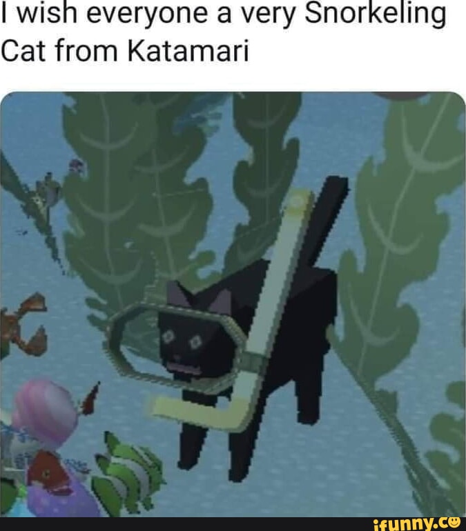 Snorkeling memes. Best Collection of funny Snorkeling pictures on iFunny