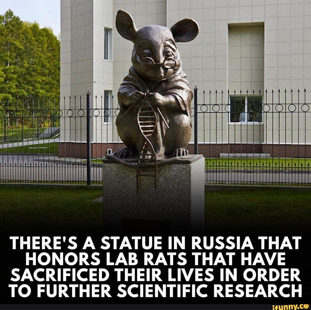 Picture memes 0oAoFdFg6 by Lost_In_collective_yay: 3.3K comments - iFunny