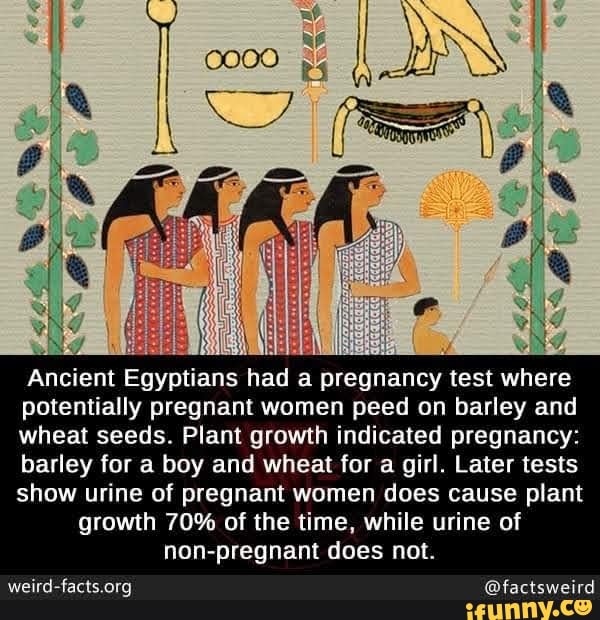Ancient Egyptians had a pregnancy test where potentially pregnant women ...