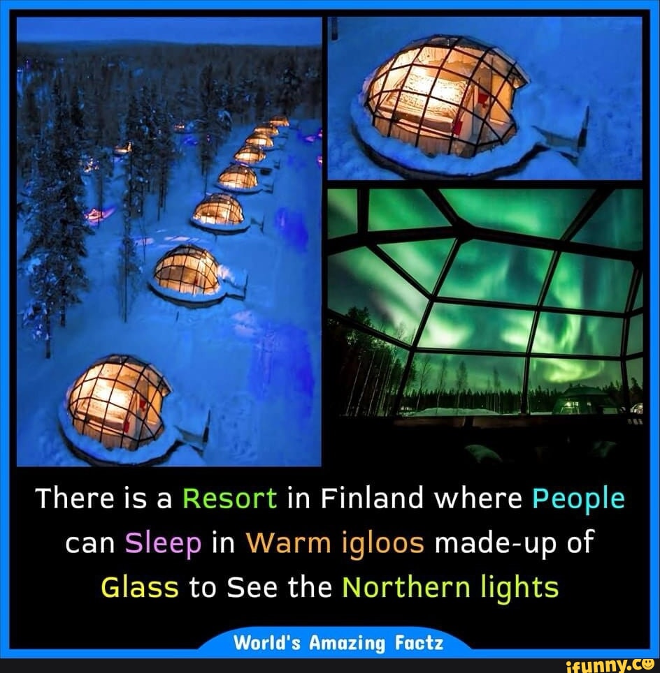 Igloos memes. Best Collection of funny Igloos pictures on iFunny