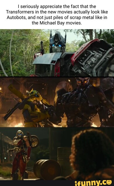 I seriously appreciate the fact that the Transformers in the new movies ...