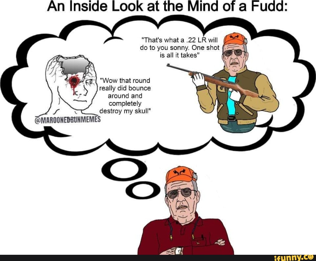 An Inside Look at the Mind of a Fudd: "That's what .22 LR will do to ...
