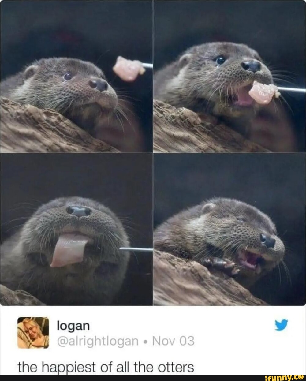 Logan memes. Best Collection of funny Logan pictures on iFunny