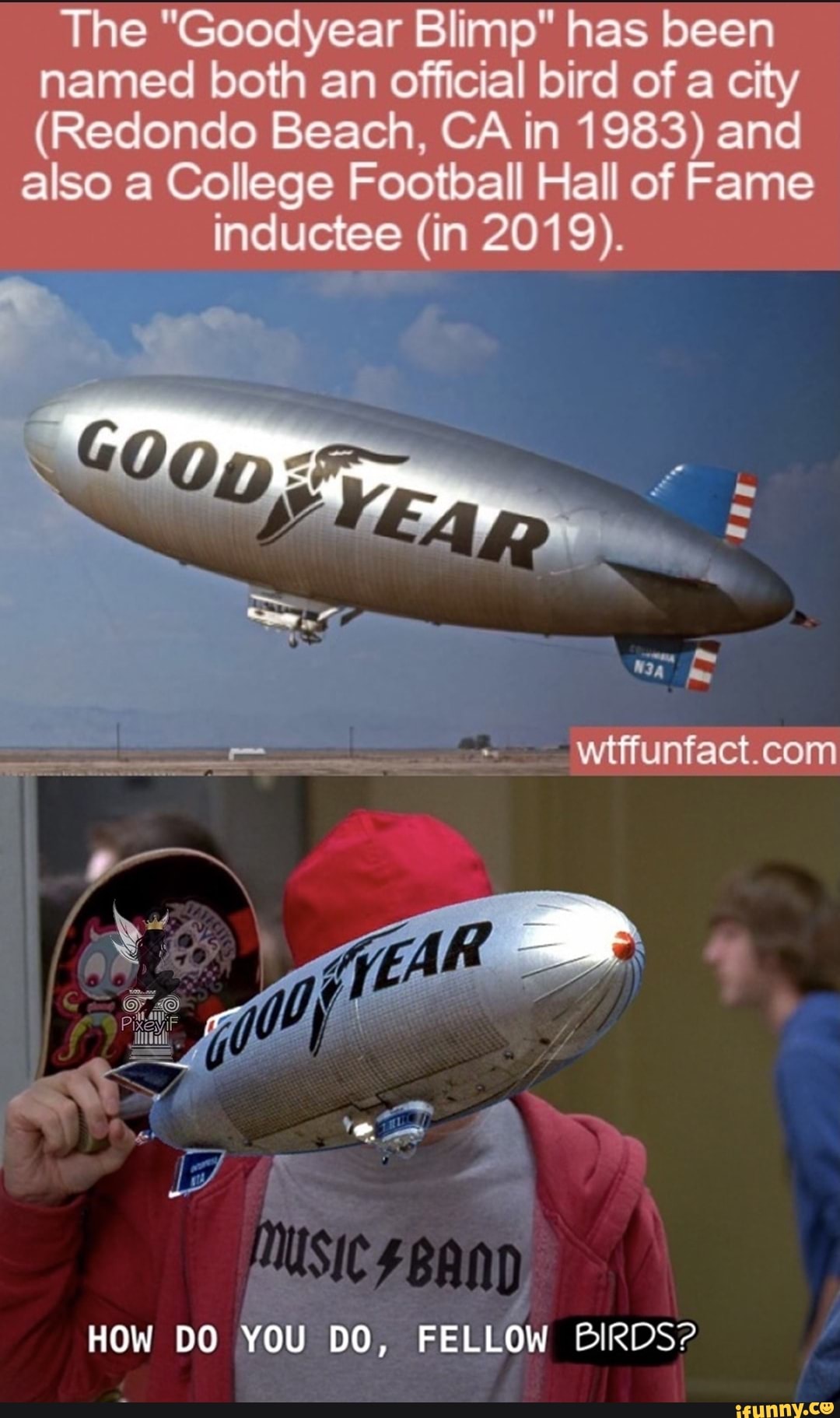 The "Goodyear Blimp" has been named both an official bird of a city ...