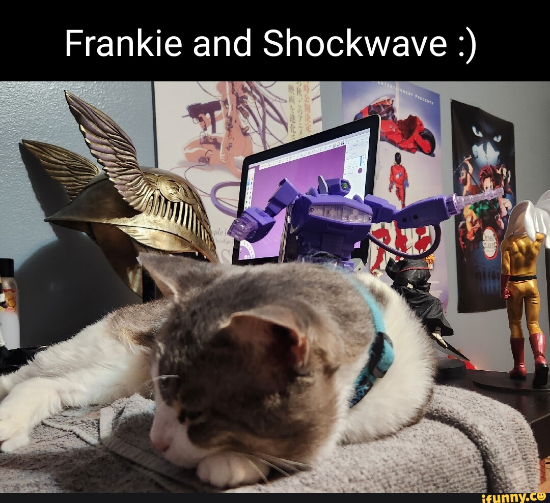 Shockwave memes. Best Collection of funny Shockwave pictures on iFunny