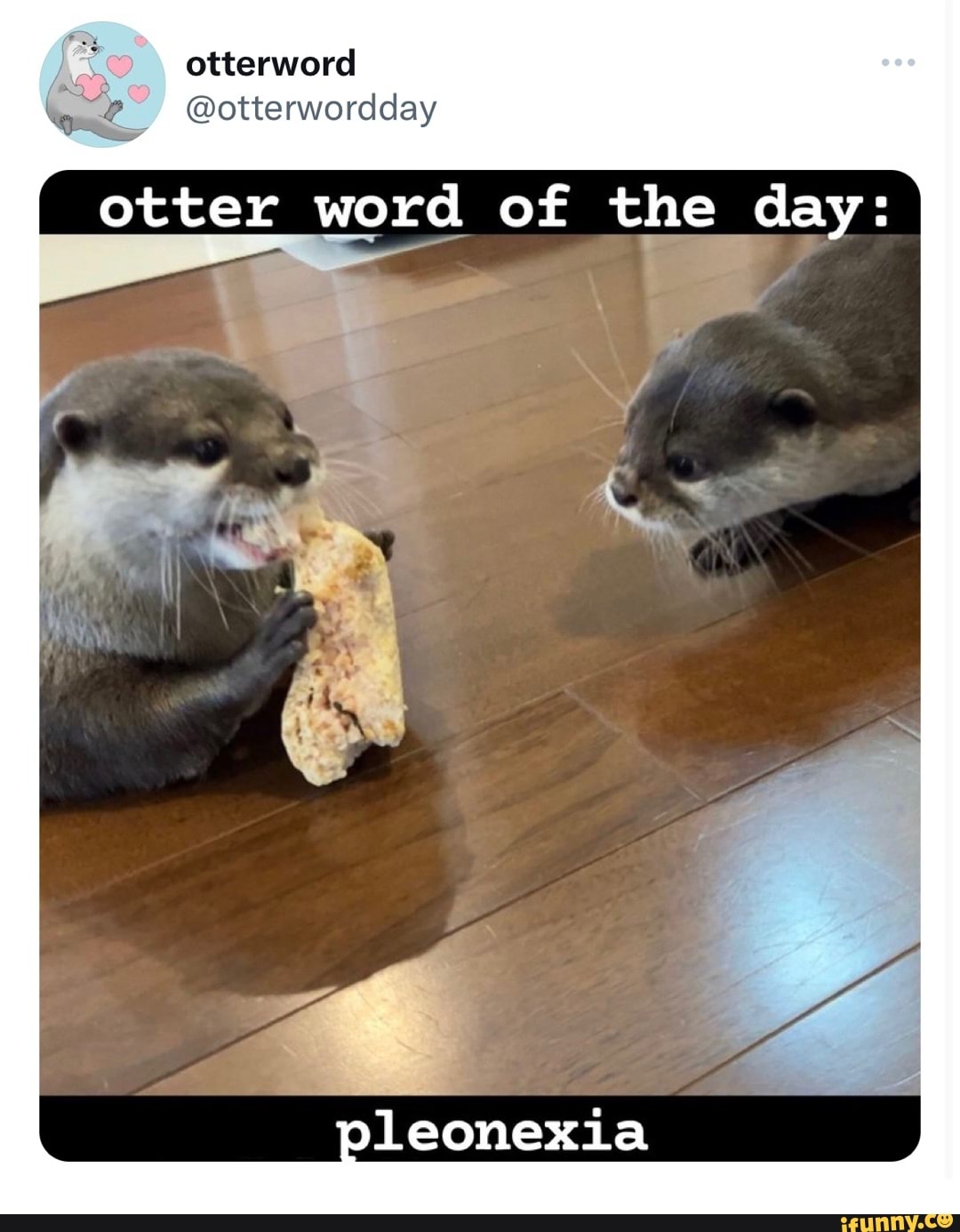 Otterword @otterwordday otter word of the day: pleonexia - iFunny