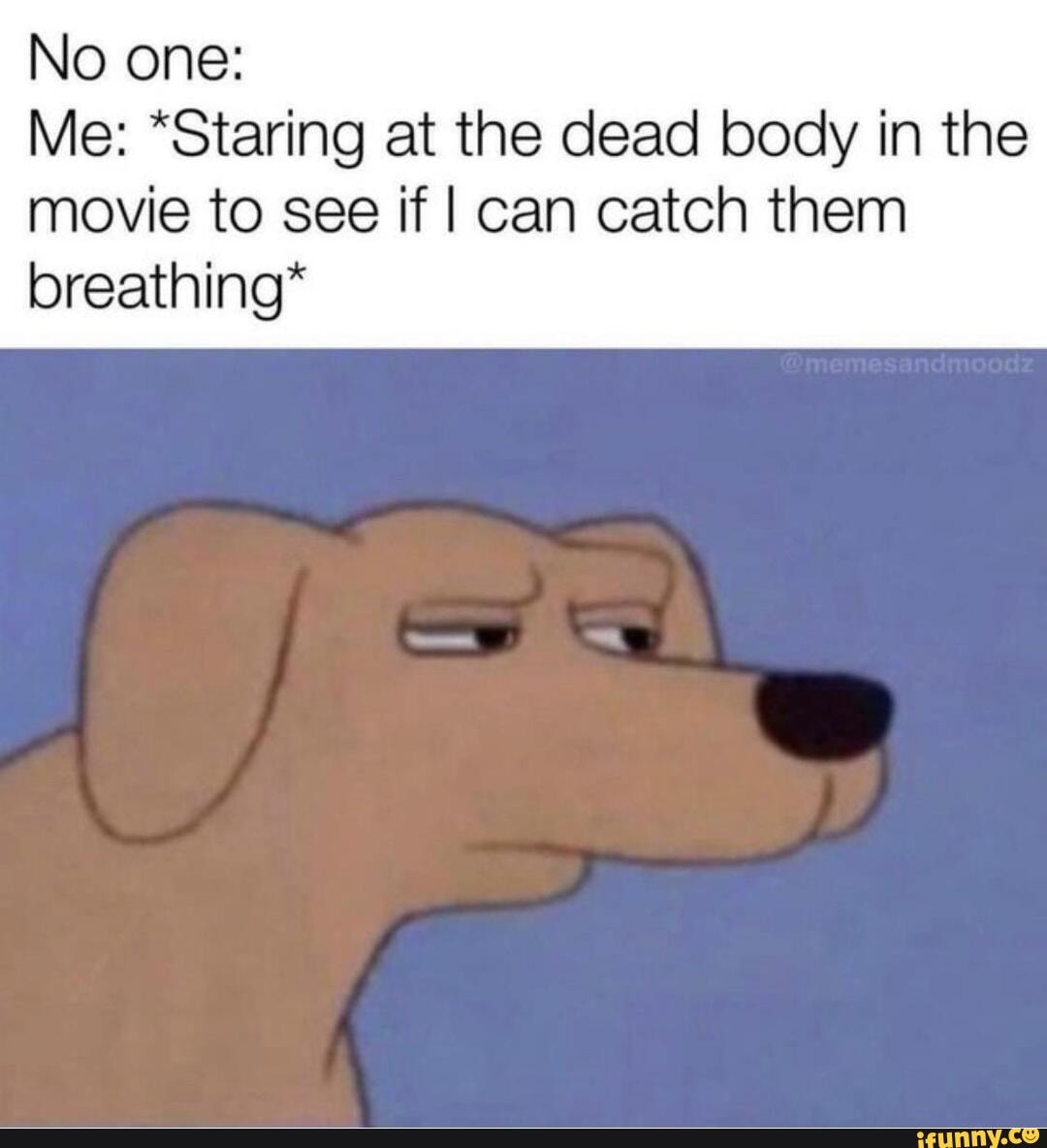 Video memes KsgnmaQp7 by CocoDoggo: 89 comments - )