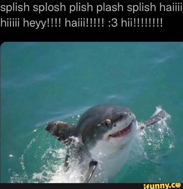 Splosh memes. Best Collection of funny Splosh pictures on iFunny