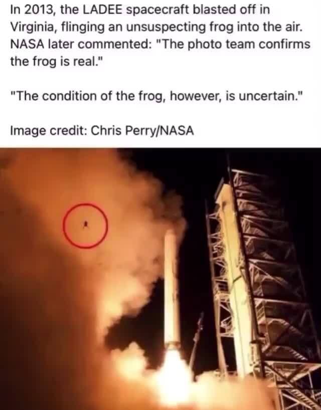 Nasa Frog Rocket Launch