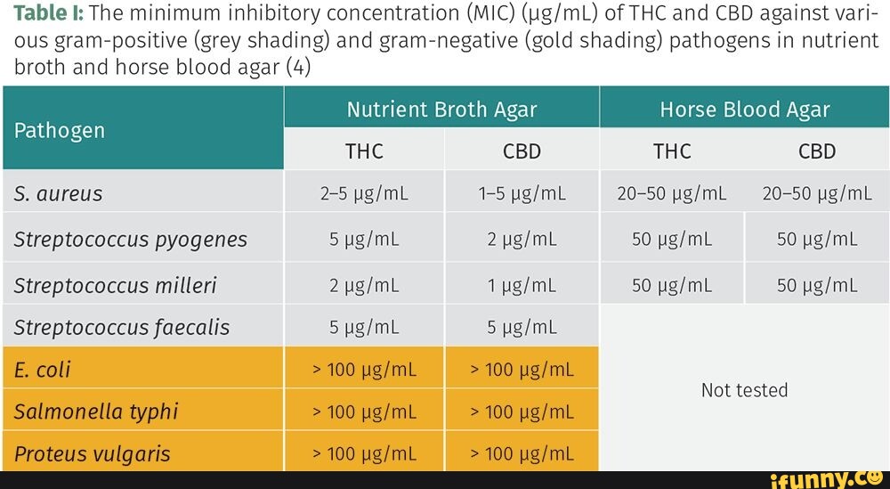 Streptococcus memes. Best Collection of funny Streptococcus pictures on ...