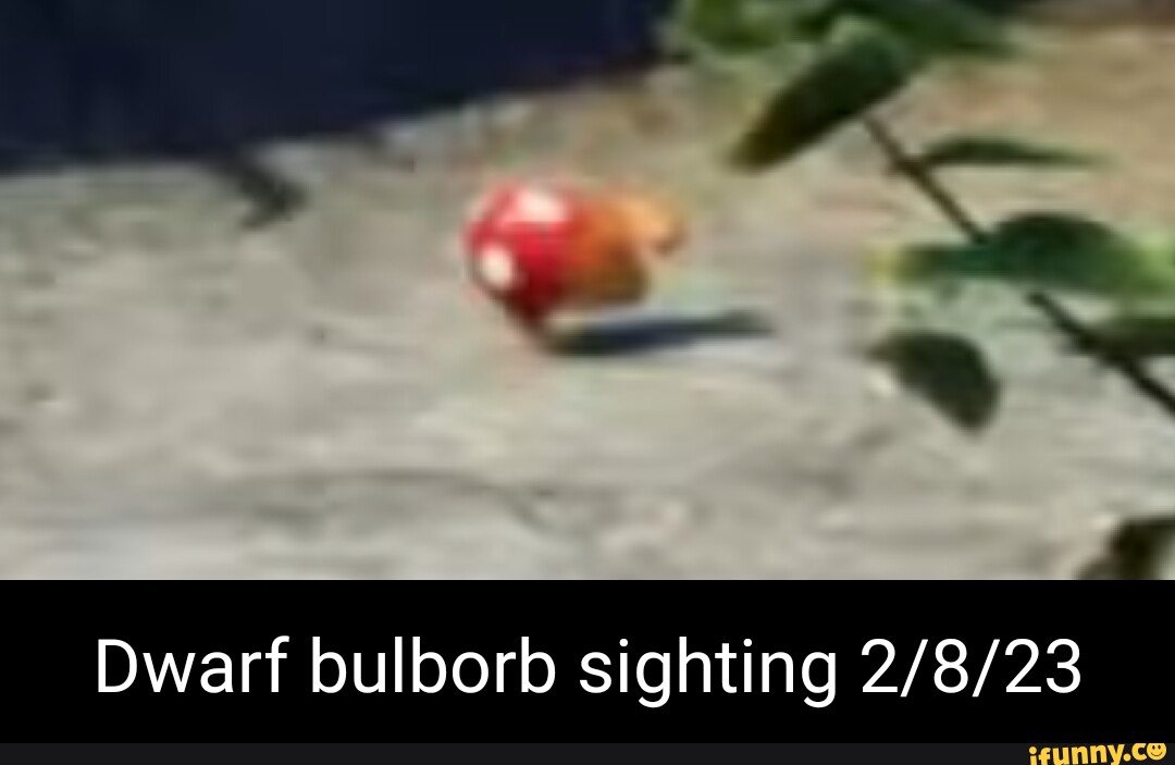 Bulborb memes. Best Collection of funny Bulborb pictures on iFunny