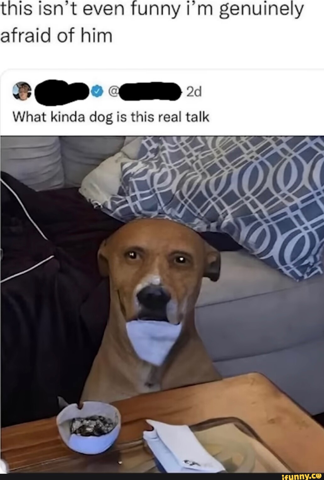 2 mile train with all tankers. All marked flammable. 1 mile outside my ...