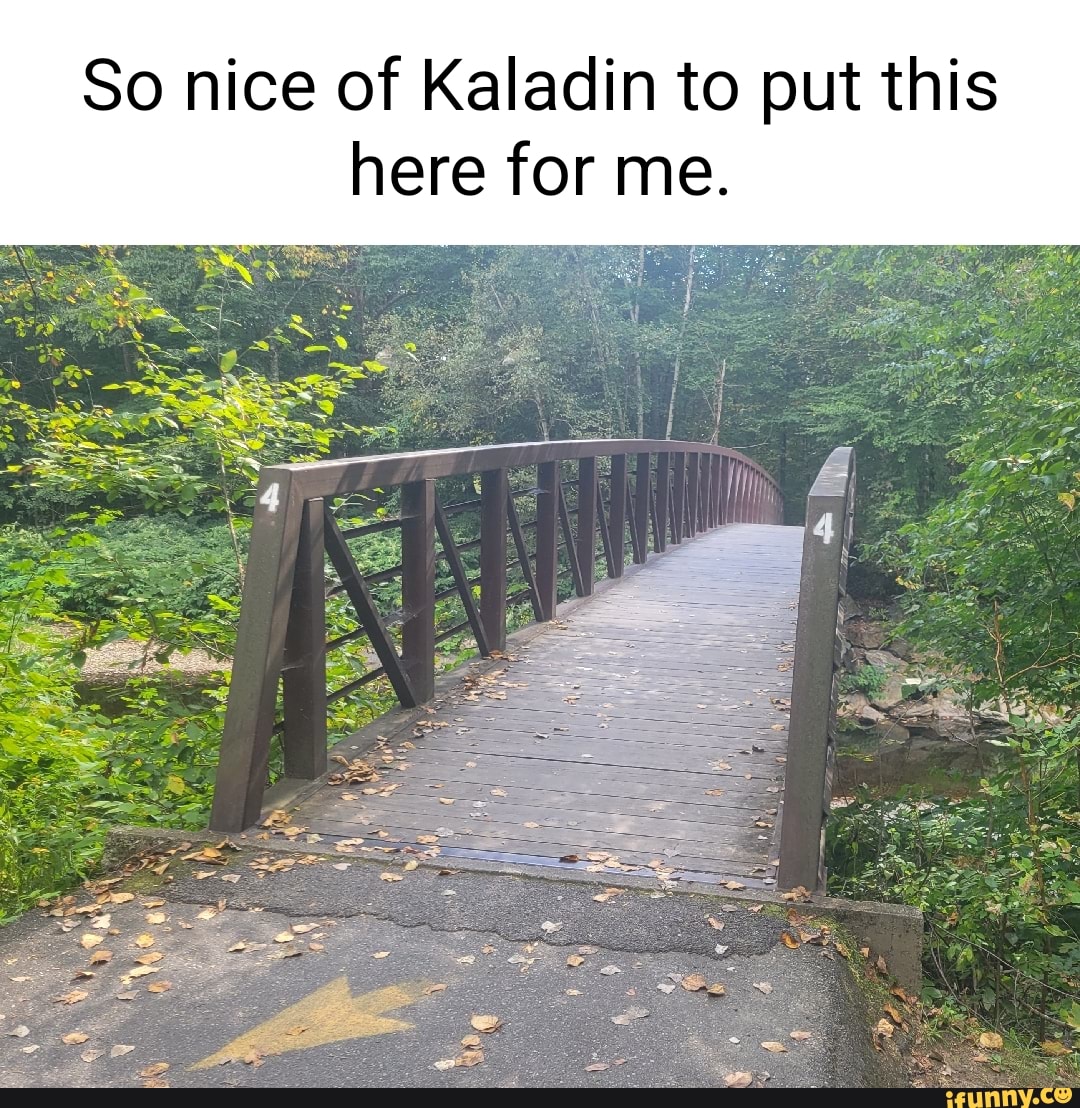 Kaladin memes. Best Collection of funny Kaladin pictures on iFunny