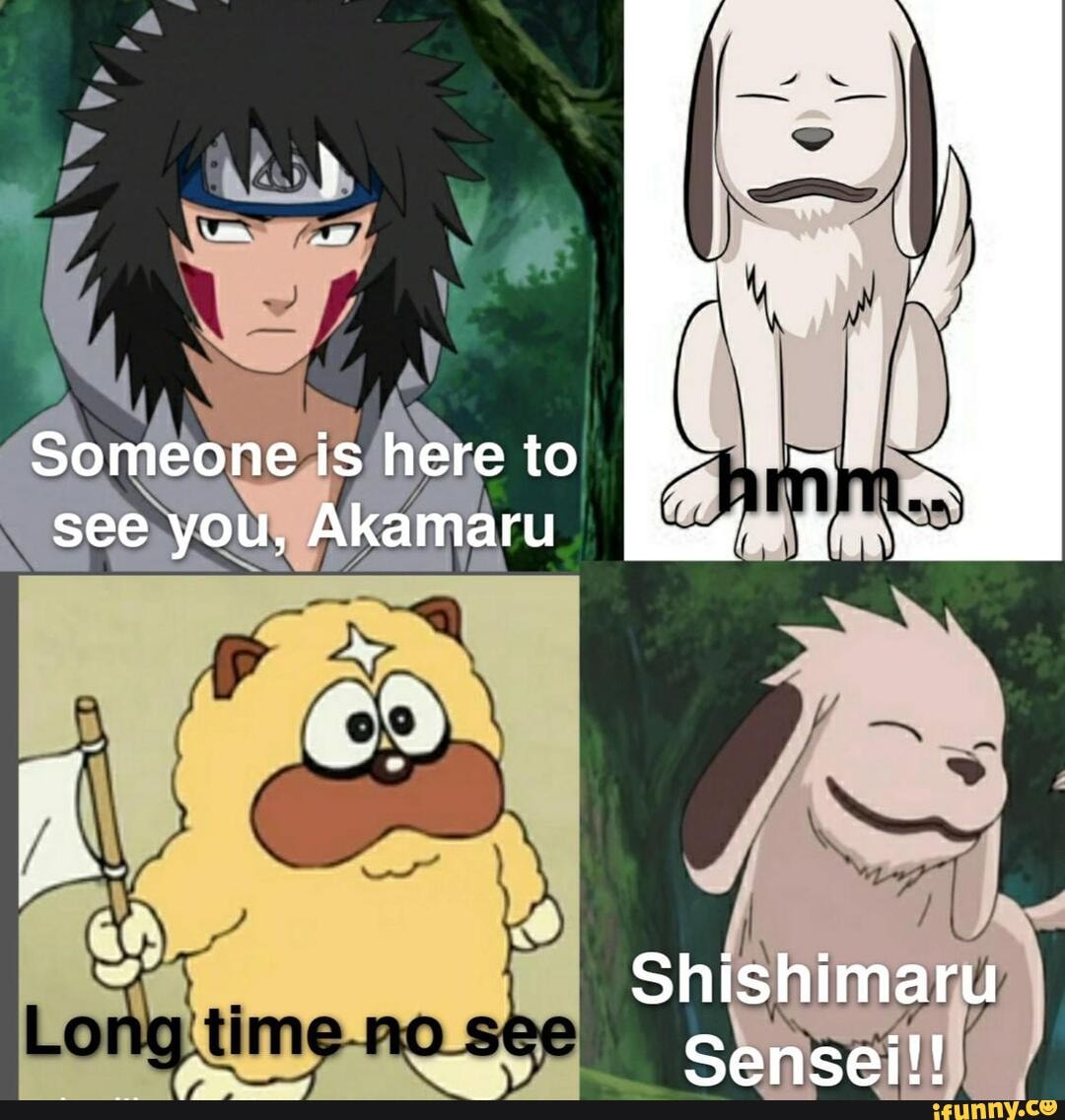 Akamaru memes. Best Collection of funny Akamaru pictures on iFunny