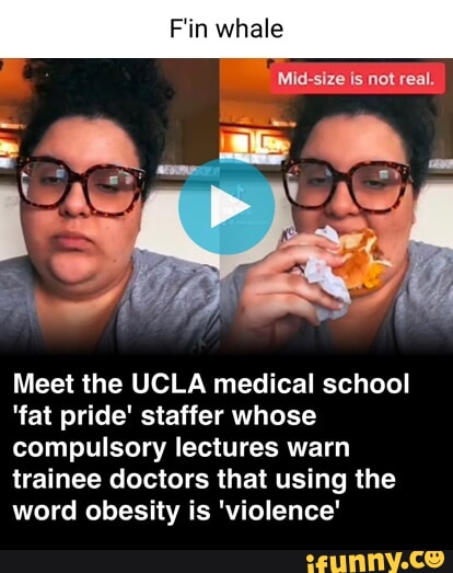 Trainee memes. Best Collection of funny Trainee pictures on iFunny