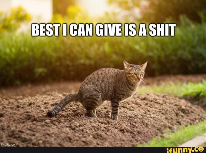 No_fucks_given memes. Best Collection of funny No_fucks_given pictures ...