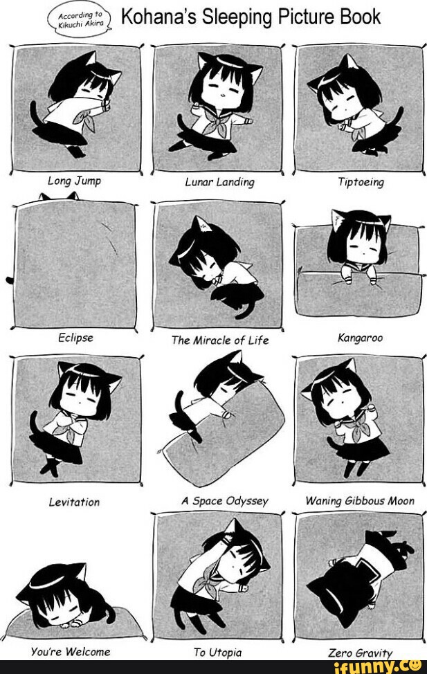 Kohana's Sleeping Picture Book Long Jump Lunar Landing I Eclipse The ...