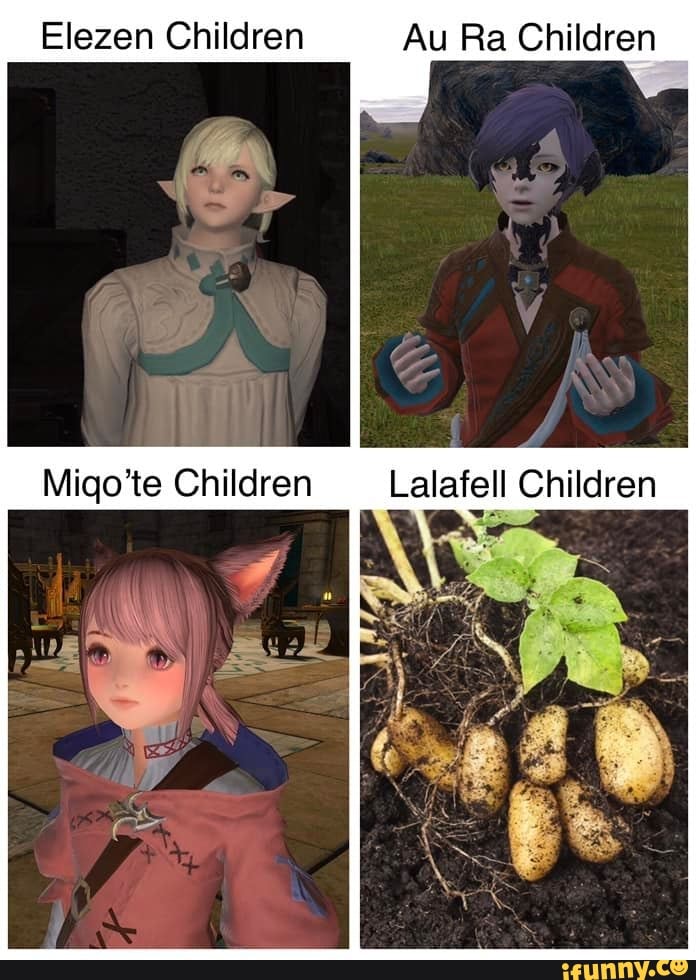 Elezen memes. Best Collection of funny Elezen pictures on iFunny