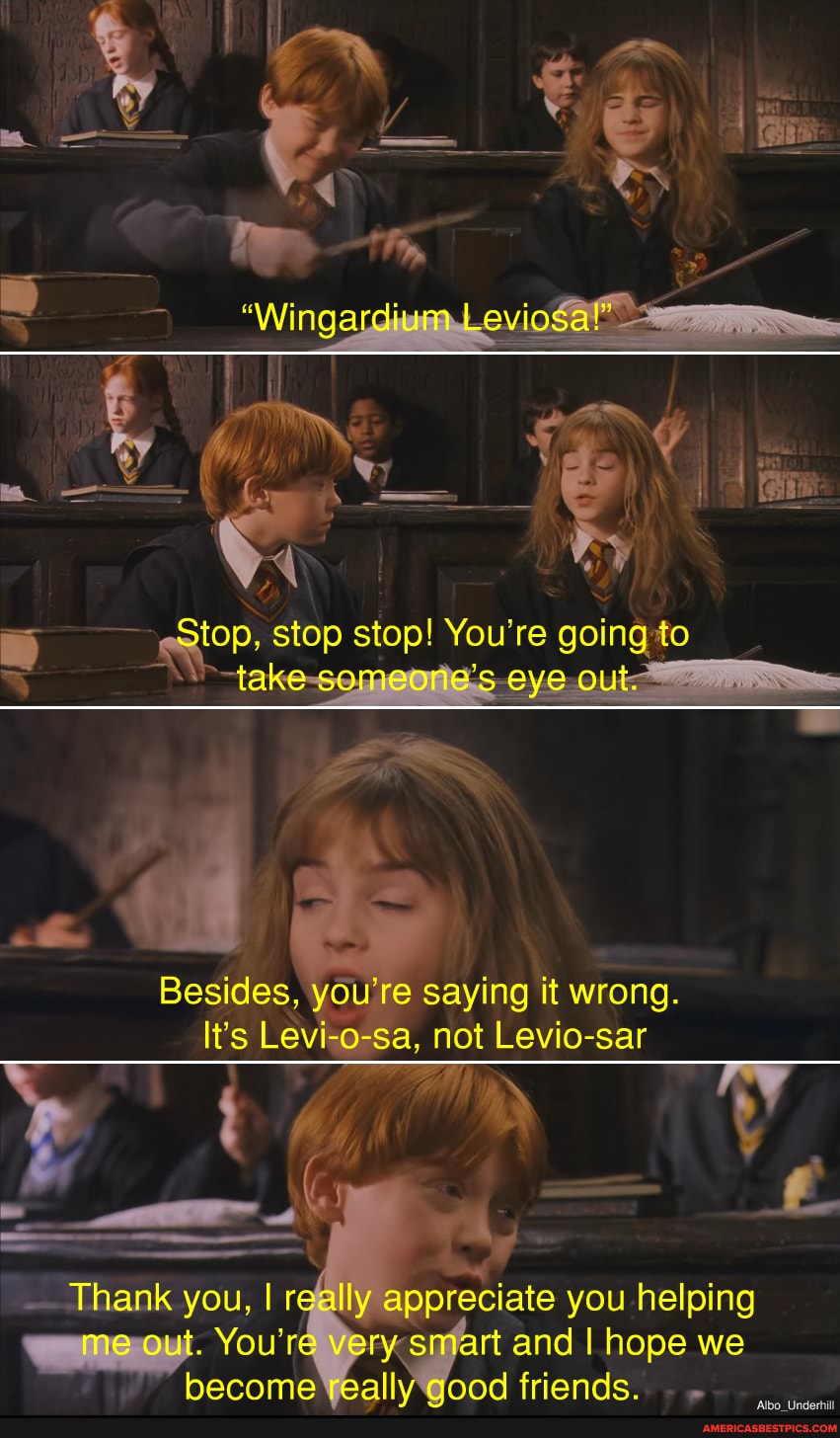 #Wholesome_memes #Harry_potter - x 3 "WingardismnLevi ( \ Stop, stop ...